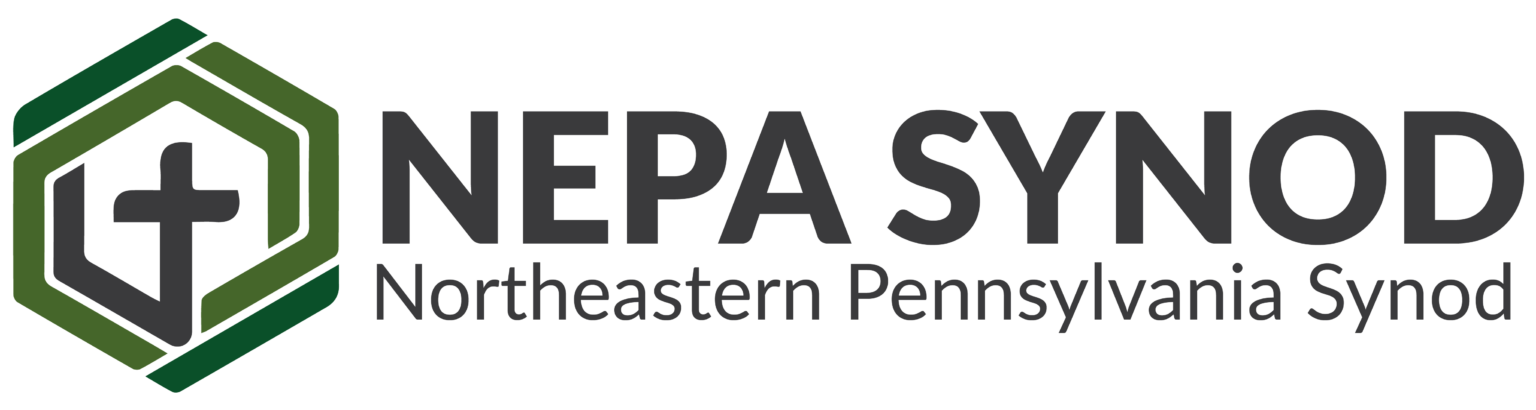 Racial Justice Team Meeting Feb 11 - NEPA Synod